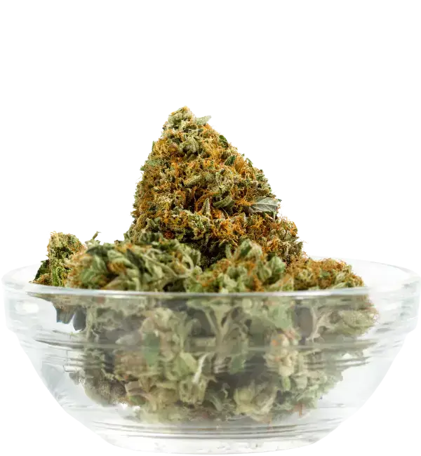 How to Choose the Best THCa Flower Wholesale Supplier in Tennessee ...