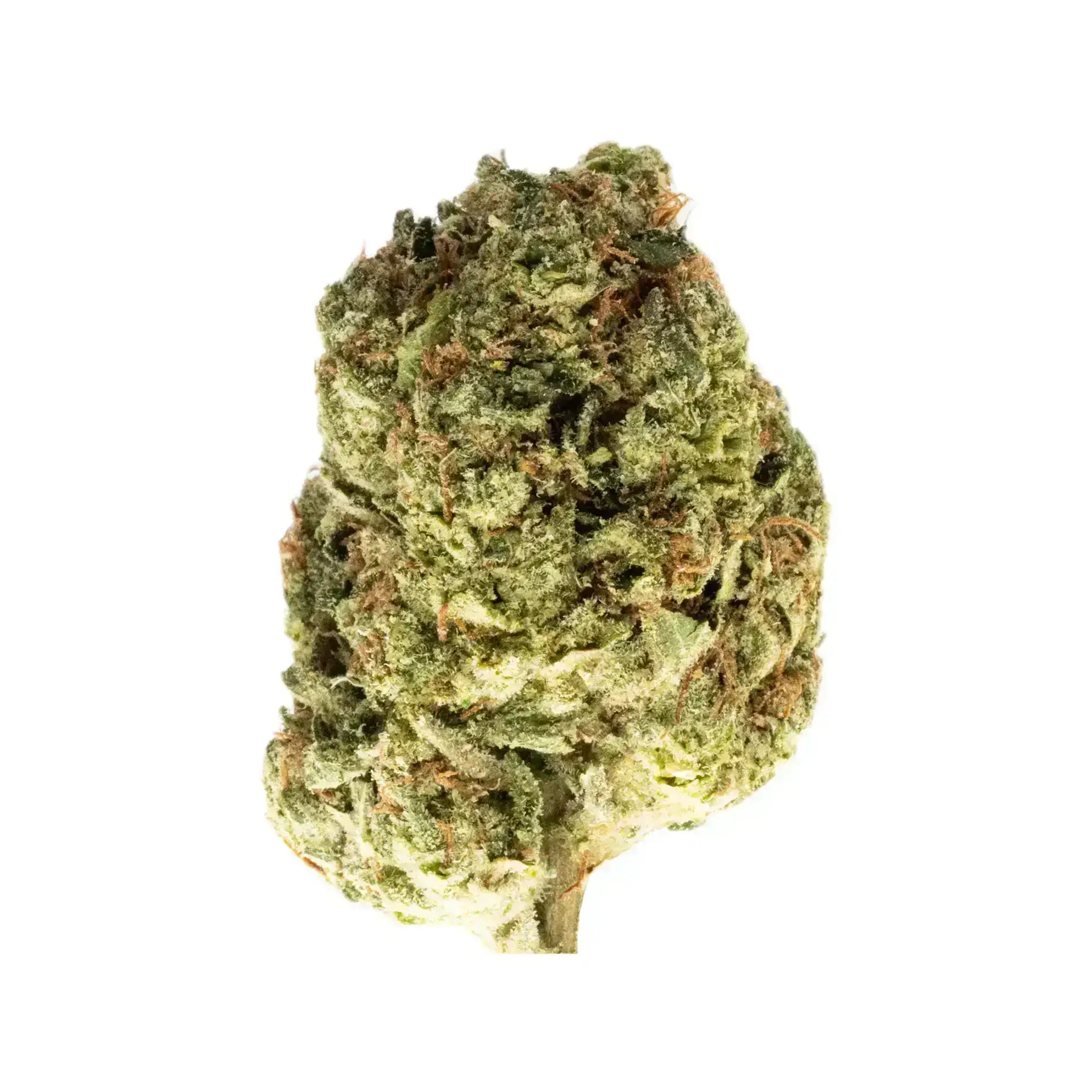 Gelato 41 X Kush Mintz 26.82% THCa Flower | frosty club