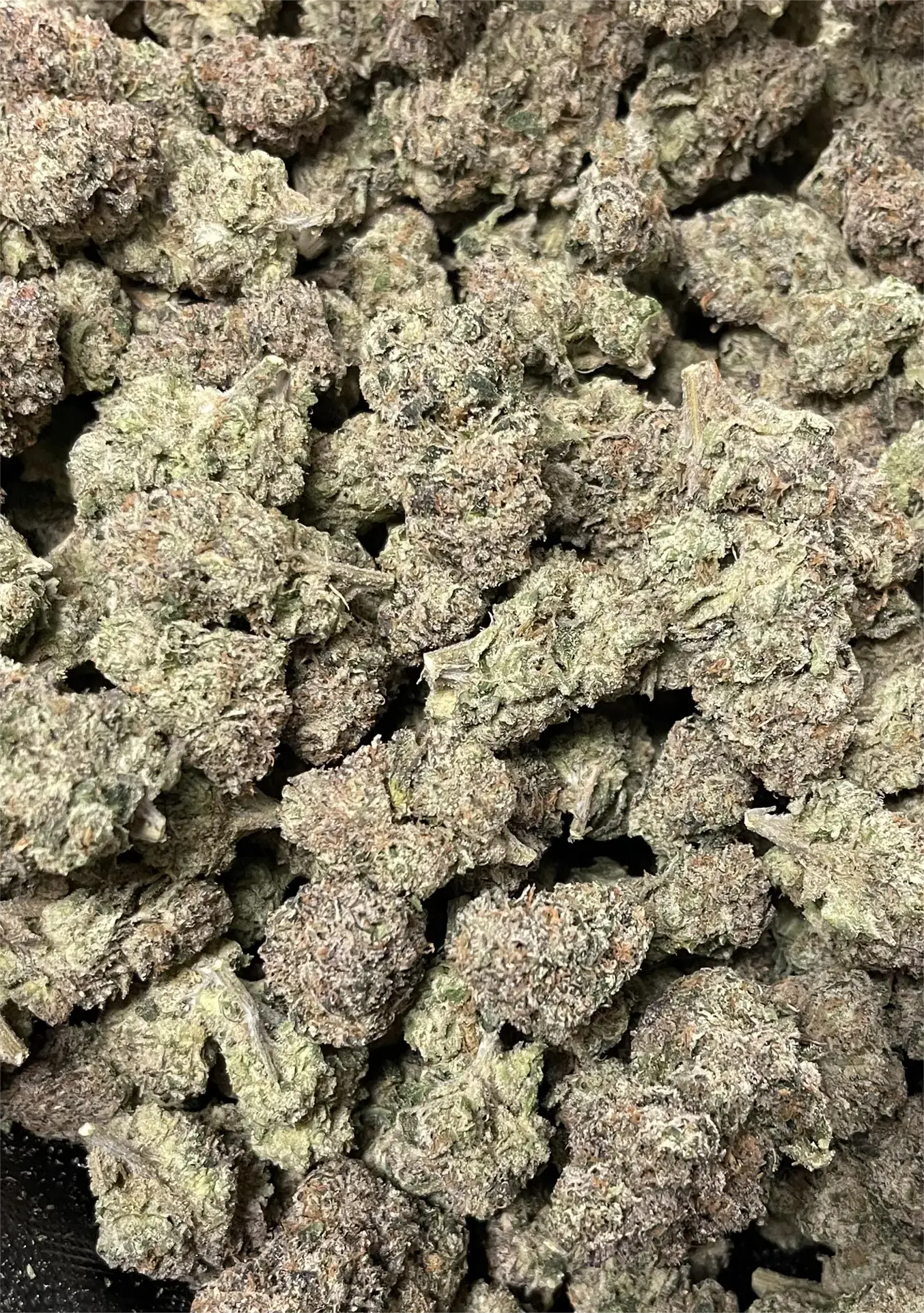Cotton Candy THCa Flower — Indica — 36.21% — PR