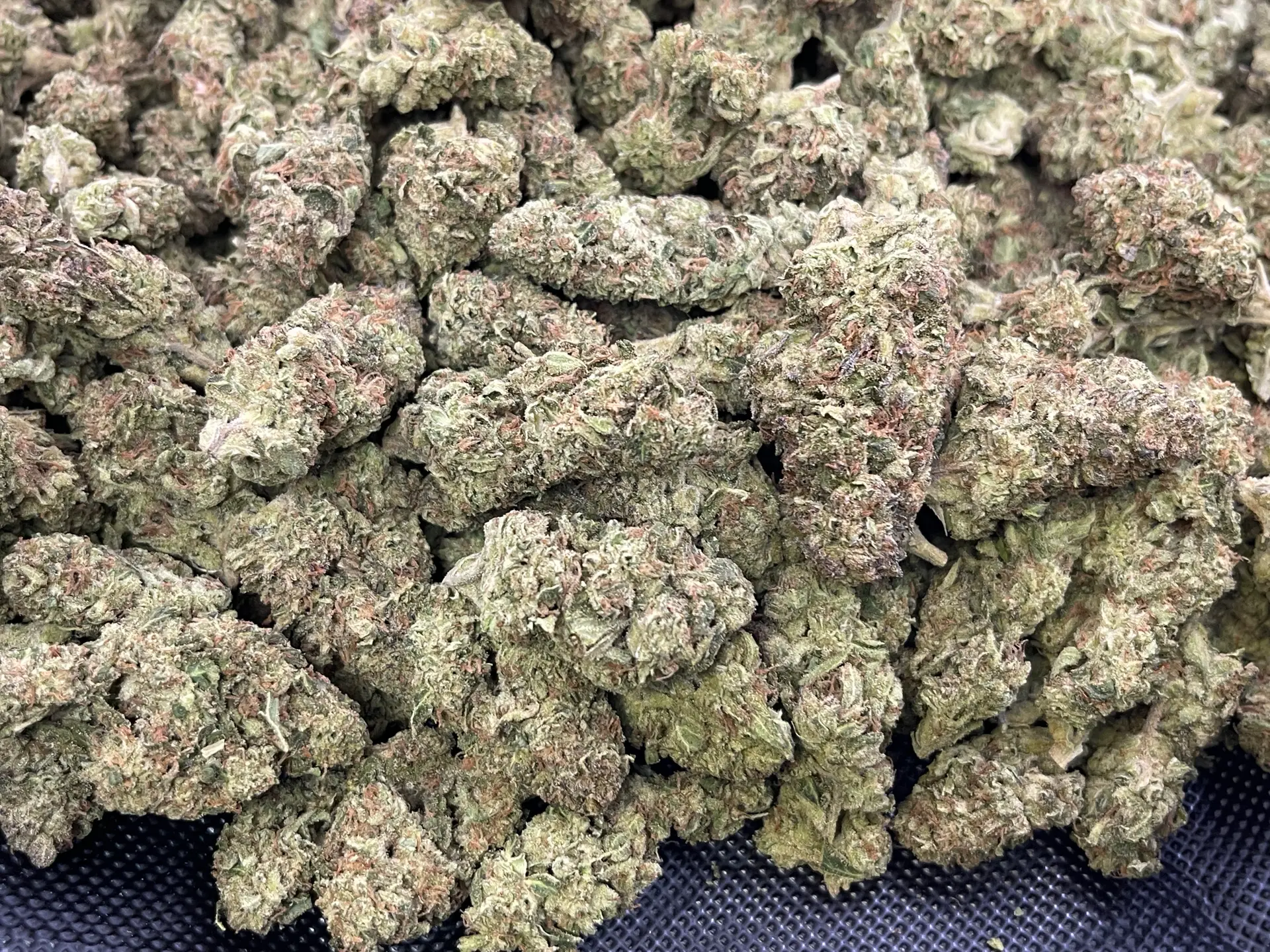 AK-47 THCa Flower — Sativa — 29.52% — Light Dep