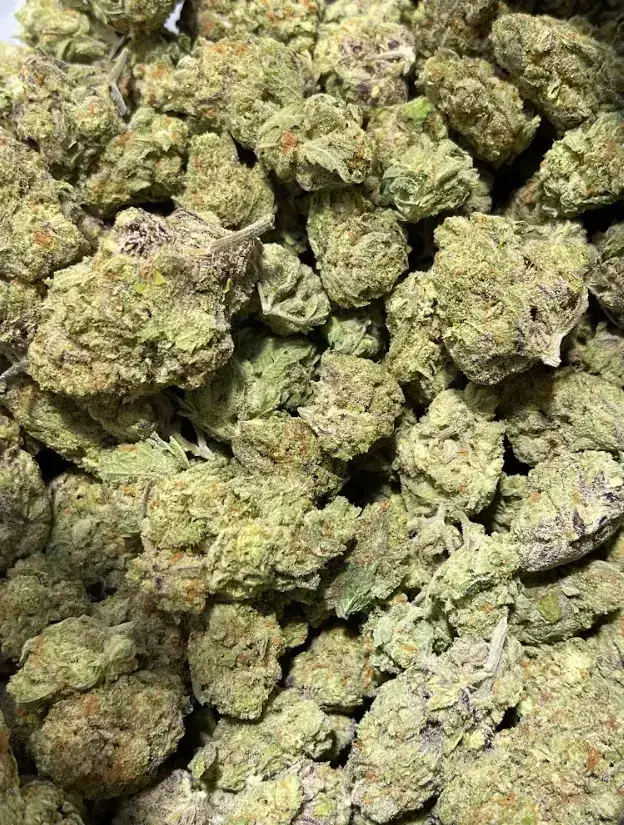 Maui Wowie THCa Flower — Sativa — 30.78% — Exotic