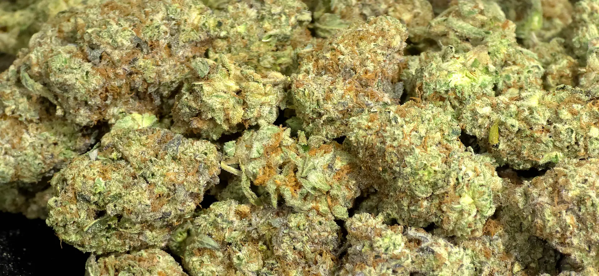 Cherry Cheesecake THCa Flower — Indica — 30.24% — PR