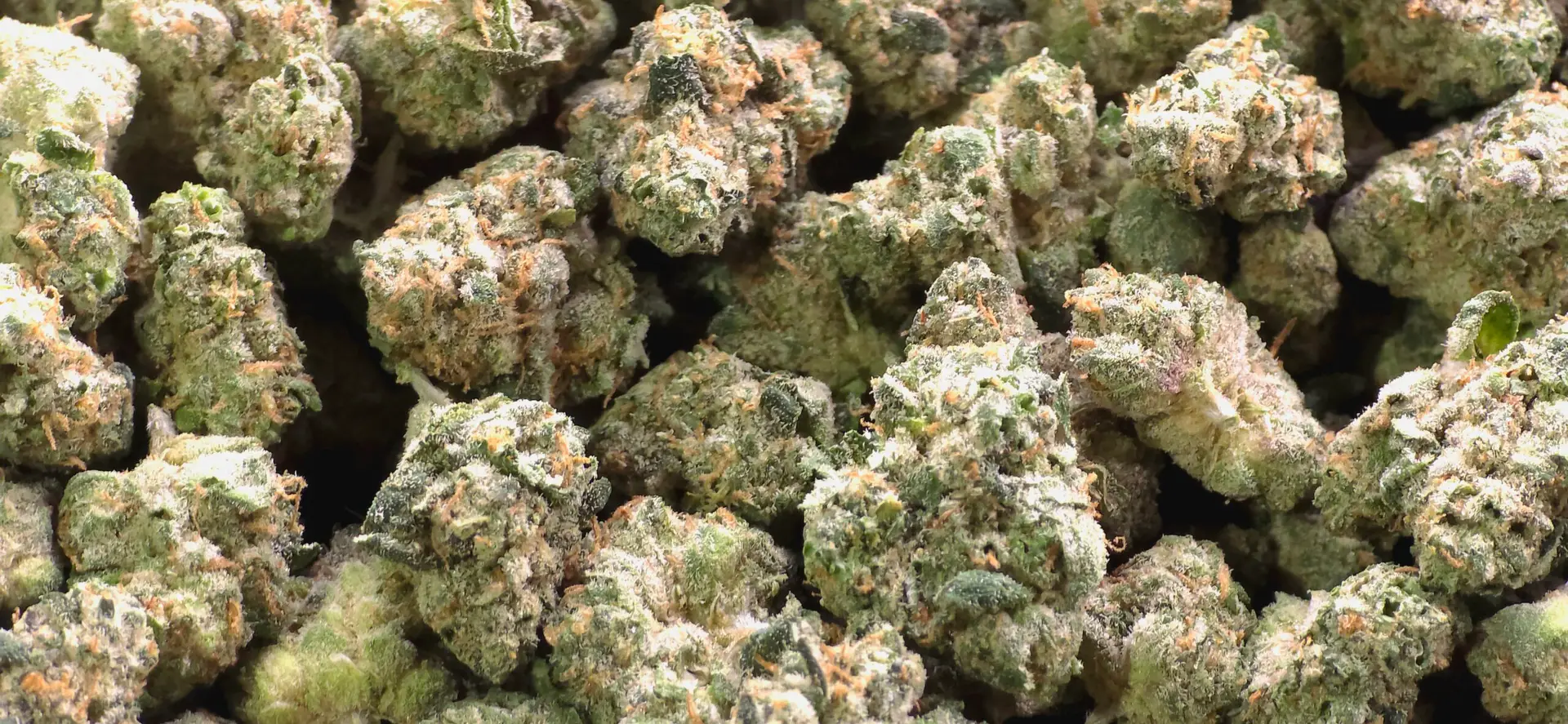 Headband THCa Flower — Indica — 42.32% — Private Reserve