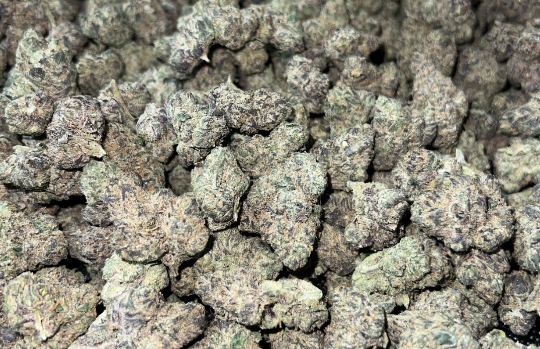 Candy Punch THCa Flower— Sativa — 33.43% — Private Reserve